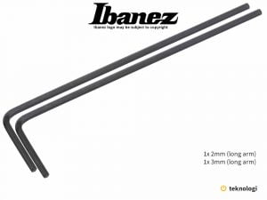 Ibanez Edge III Bridge Allen Key Set Saddle Height Adjustment